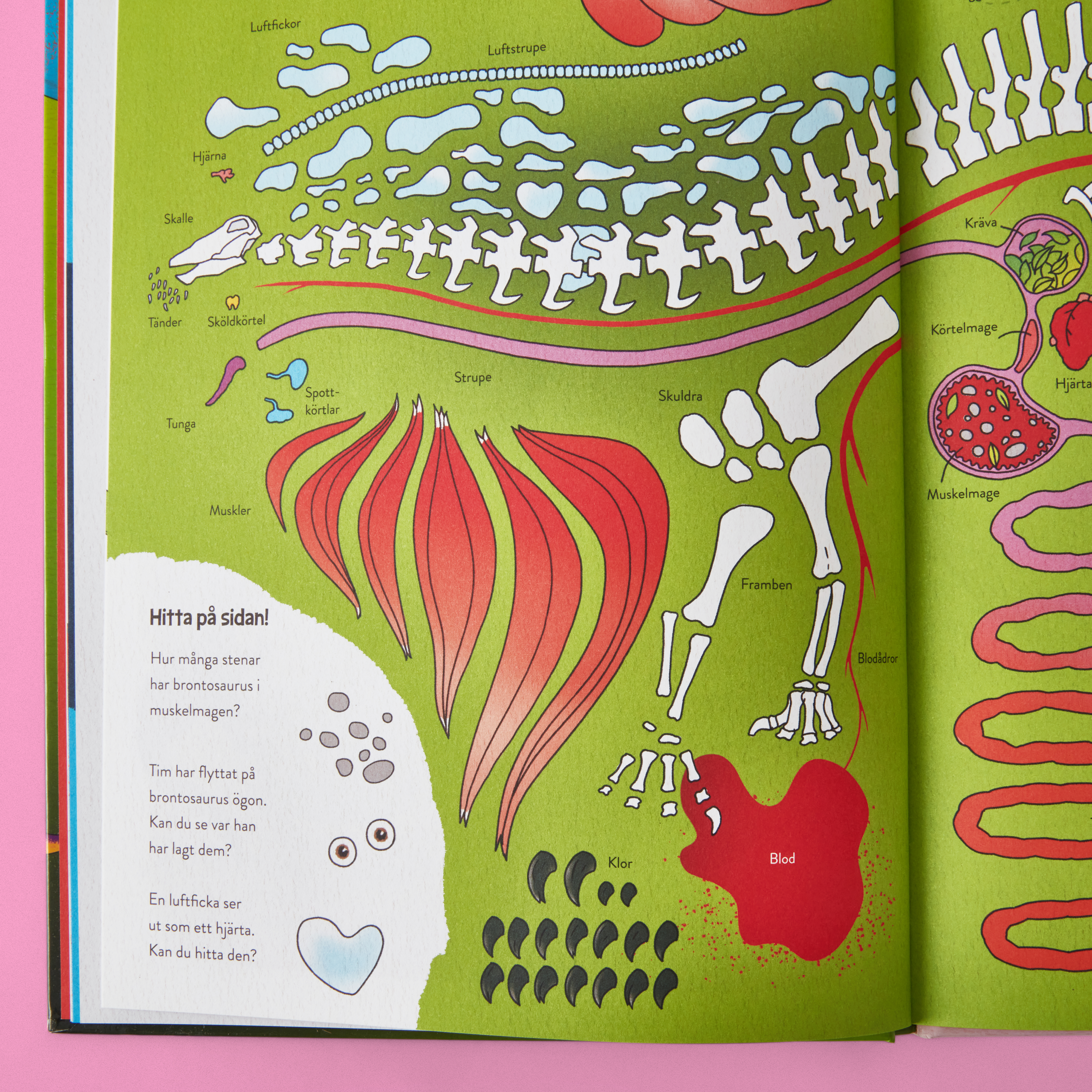 Tuffa dinosaurier | Line Halsnes | Inbunden