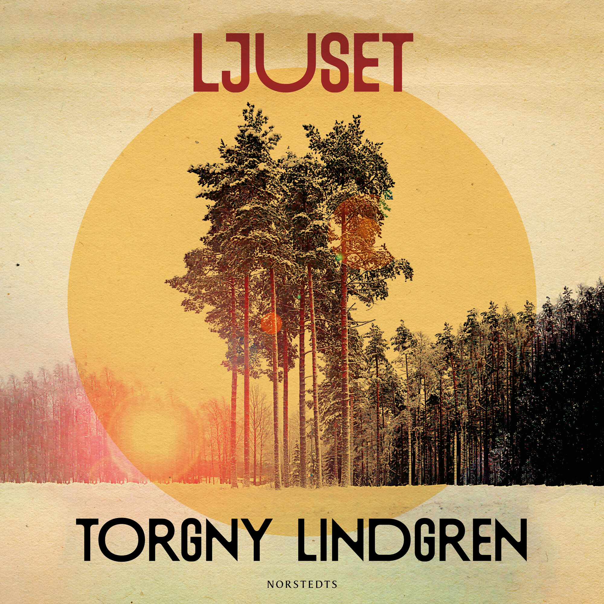 Ljuset | Torgny Lindgren | Ljudbok