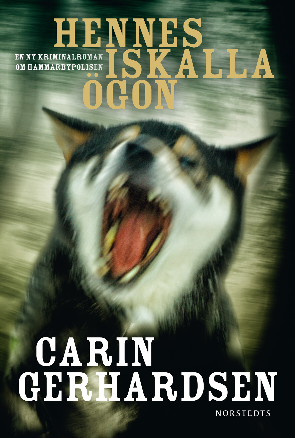 Hennes iskalla ögon | Carin Gerhardsen | Inbunden