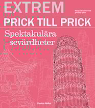 Extrem Prick Till Prick Patricia Moffett Pocket